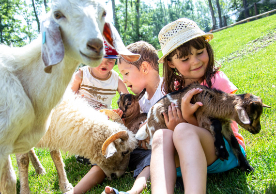 Le Grand Parc d'Andilly - Grand Parc d'Andilly